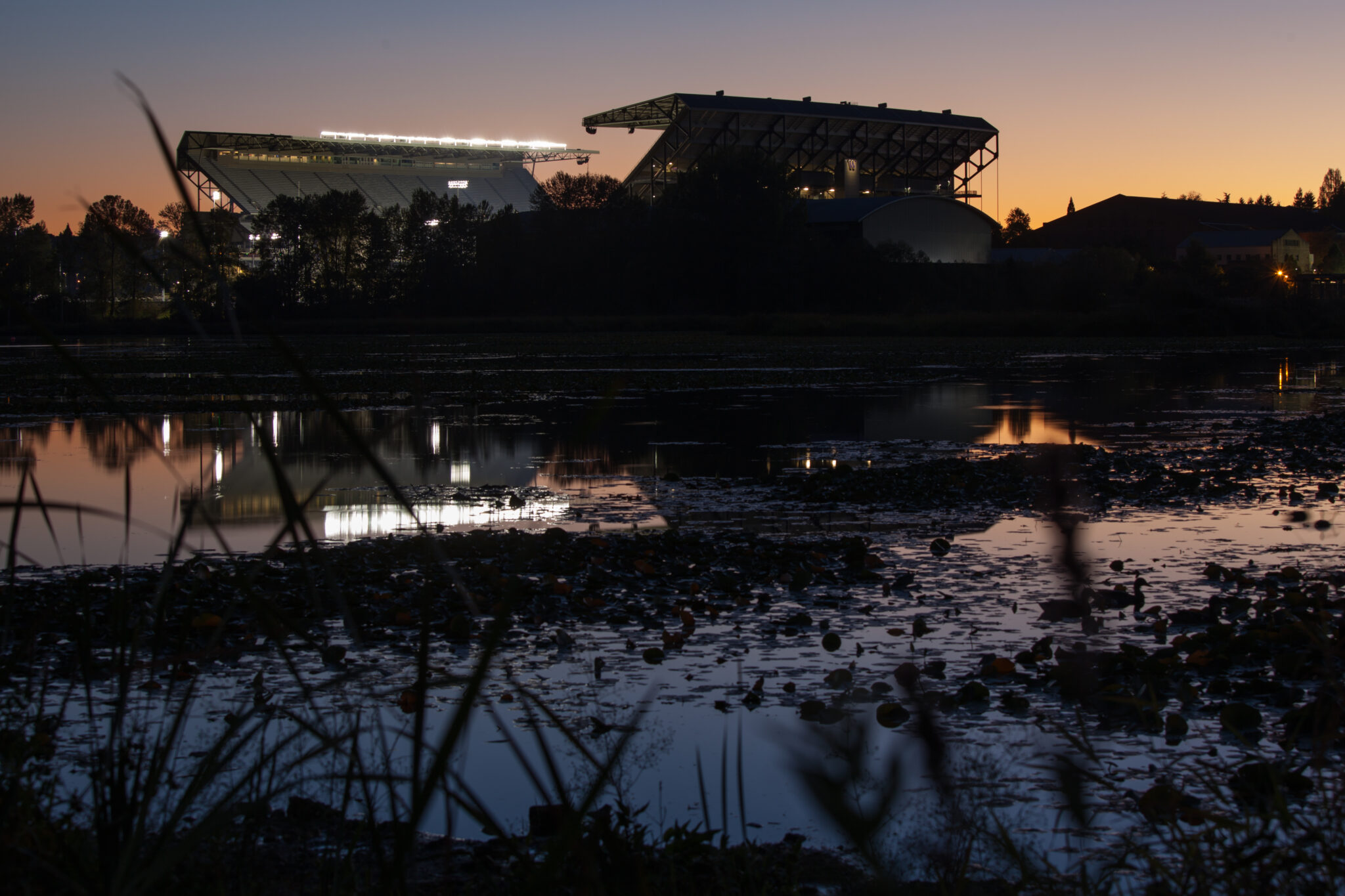 Sailgating: Embrace the Ultimate Tailgating Experience at the ...